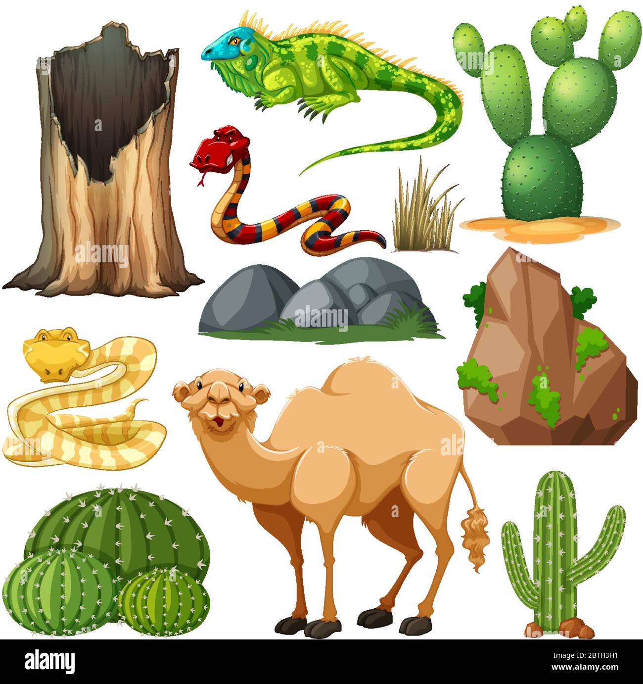 Set of cute desert animal and nature illustration Stock Vector Image ...