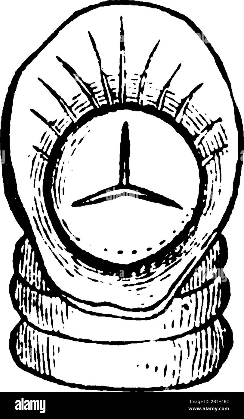 Leech leech phylum annelida Stock Vector Images - Alamy