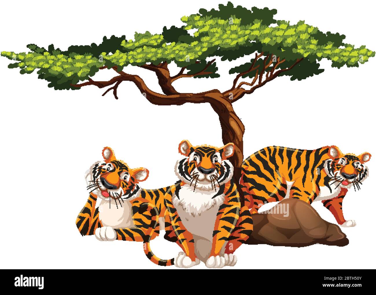 Tigers under the tree isolated illustration Stock Vector Image & Art ...