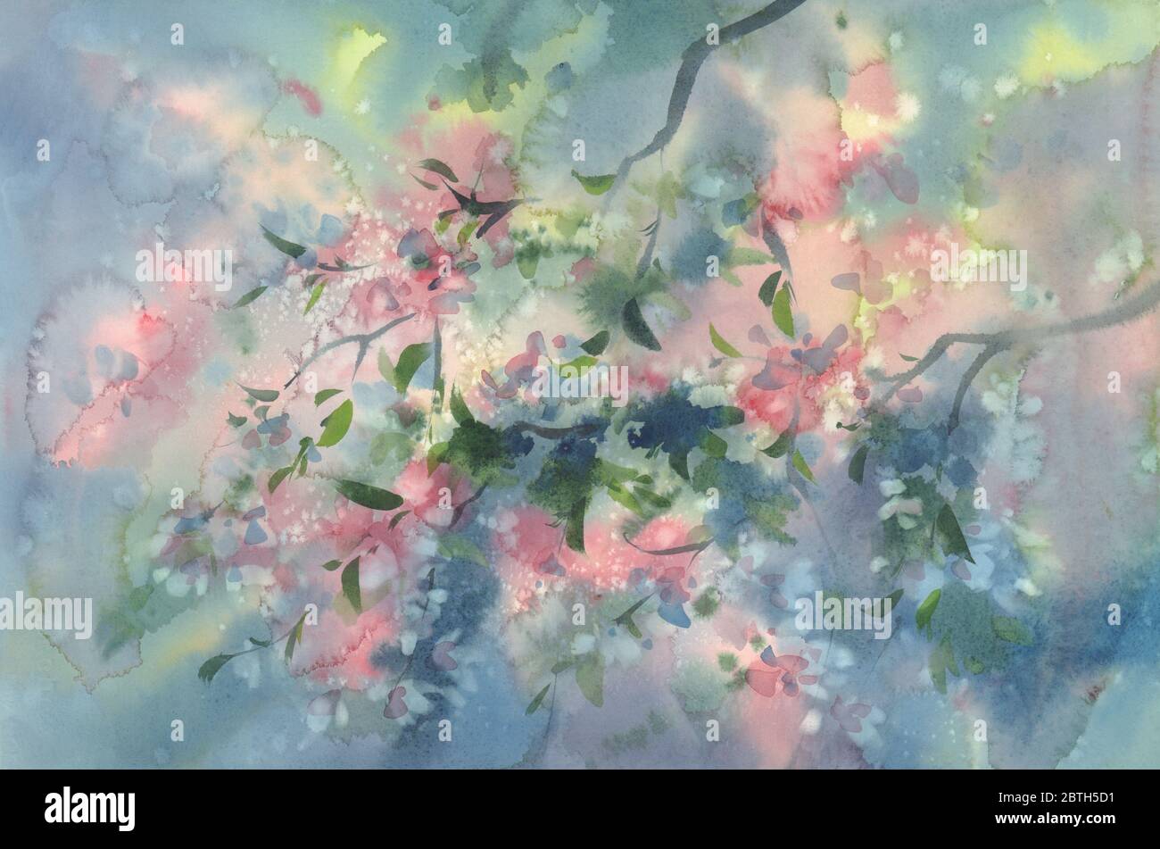 Flowering tree branches in spring watercolor background Stock Photo - Alamy