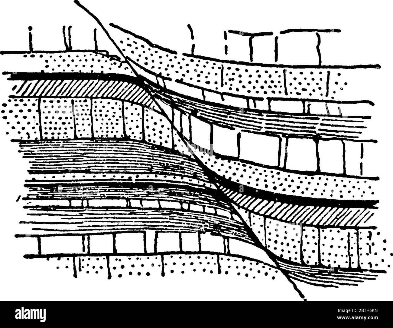 An illustration of strata bent at a line of fault, vintage line drawing ...