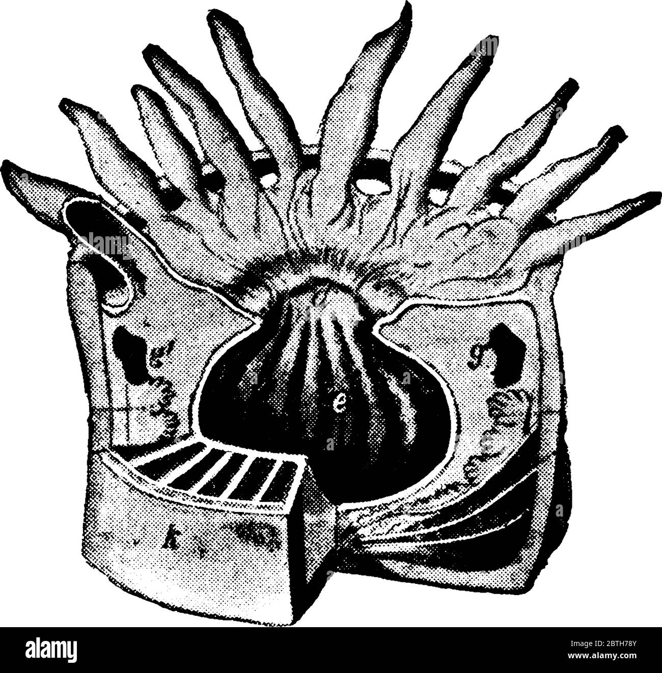 Mouth and tentacles Cut Out Stock Images & Pictures - Alamy