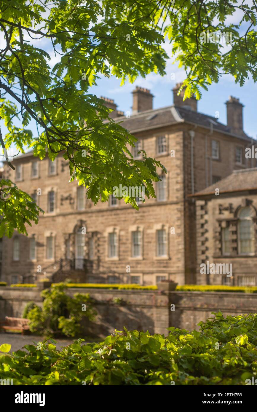 An Oak Tree in Spring With a Stately Home in the Background in the UK ...
