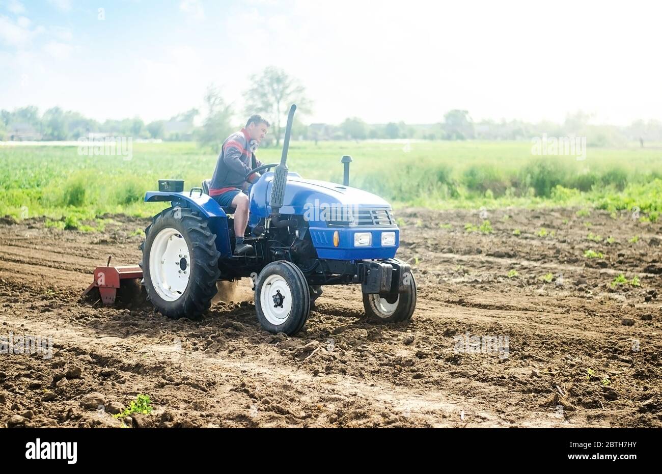 A farmer on a tractor works on the field. Growing crops in a small ...
