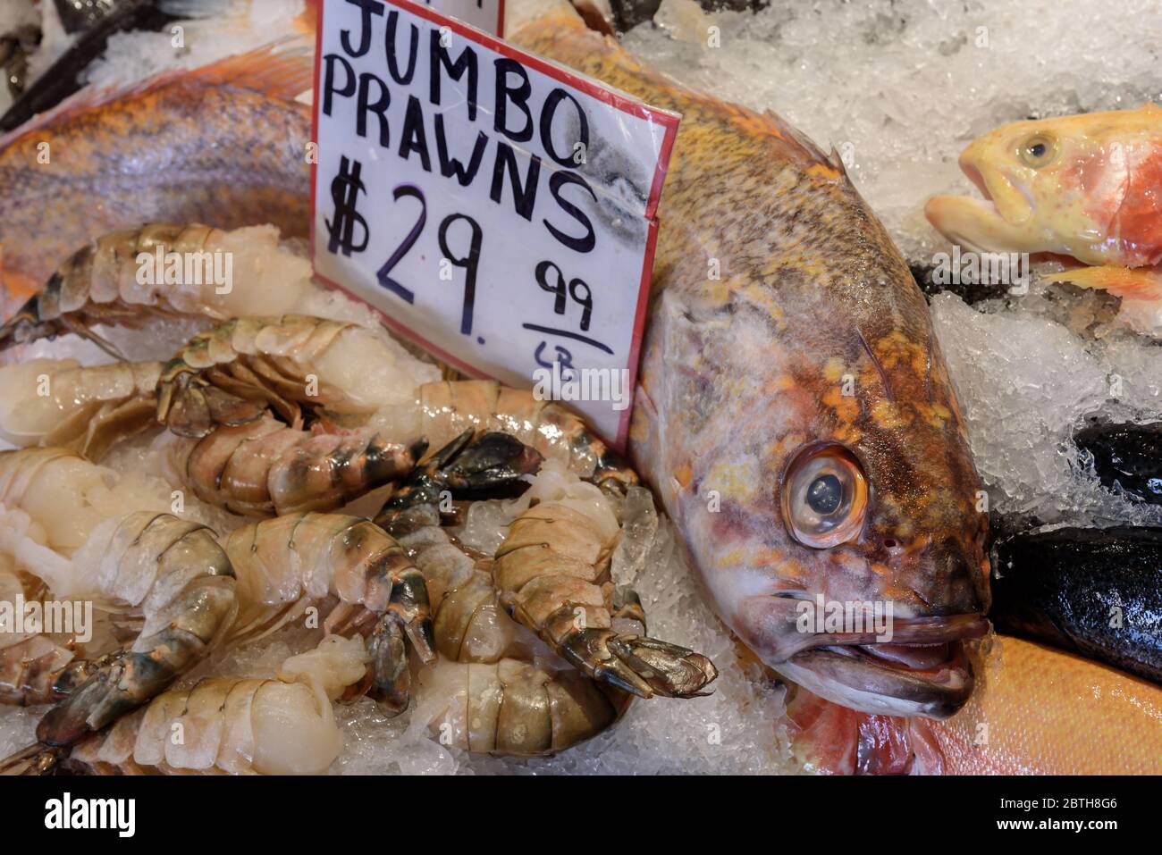 Fresh fish for sale in a farmers market. The fish is laid out in ice ...