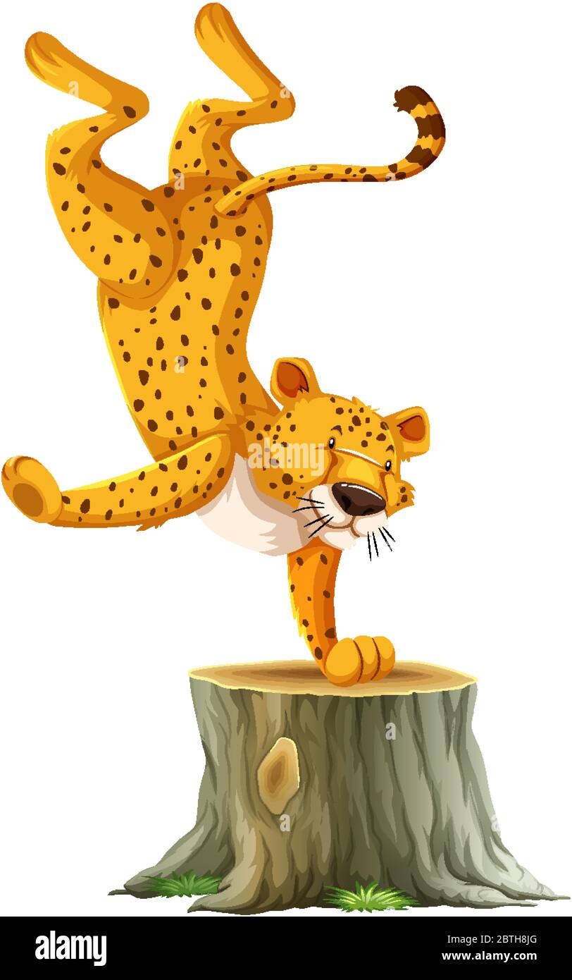 Cheetah syanding on one hand illustration Stock Vector Image & Art - Alamy