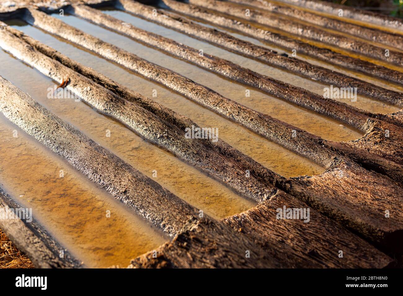 producing sea salt in Bali, process. Salt making process Stock Photo ...