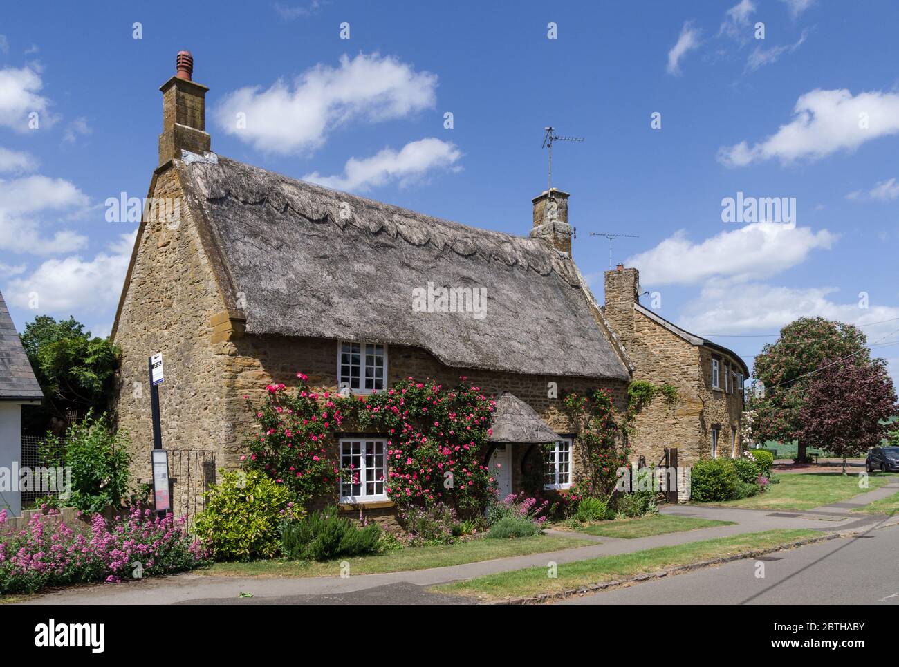 Exterior of a traditional thatched cottage in Spring with roses growing ...