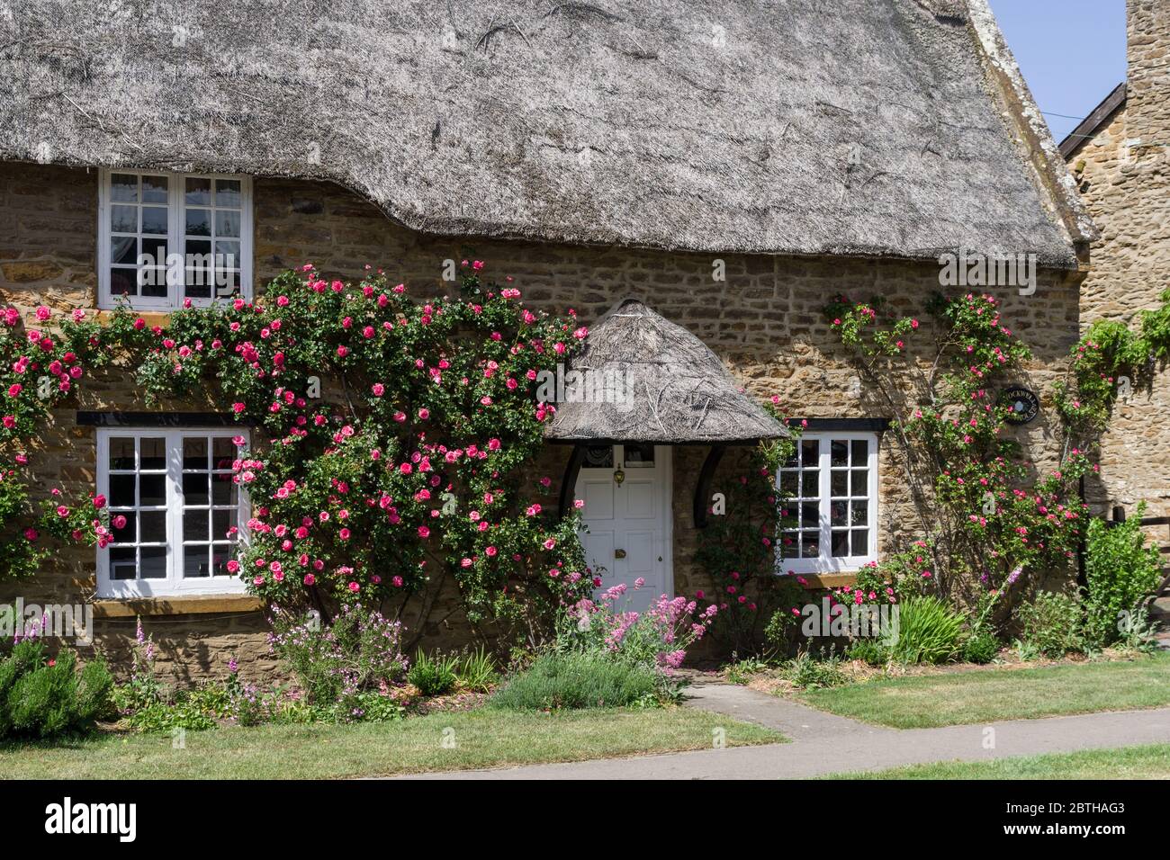 Cottage roses around the door hi-res stock photography and images - Alamy