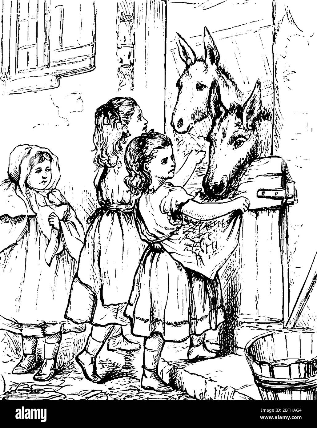 A lady with her head covered and two small girls, feeding their donkey ...