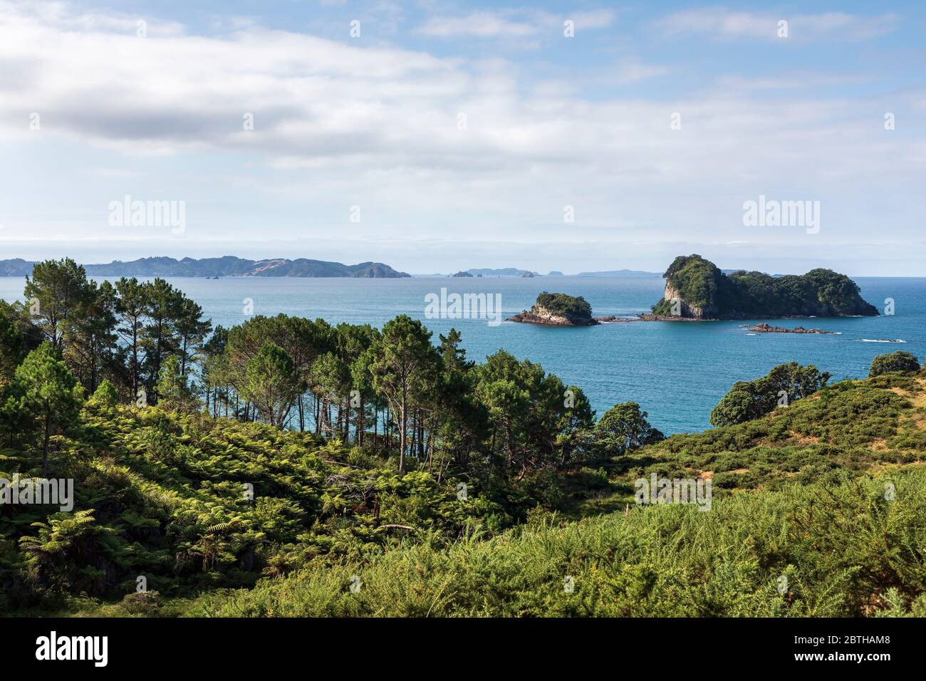 Stingray bay new zealand hi-res stock photography and images - Alamy