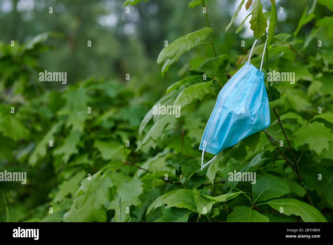 Medical environment hi-res stock photography and images - Alamy