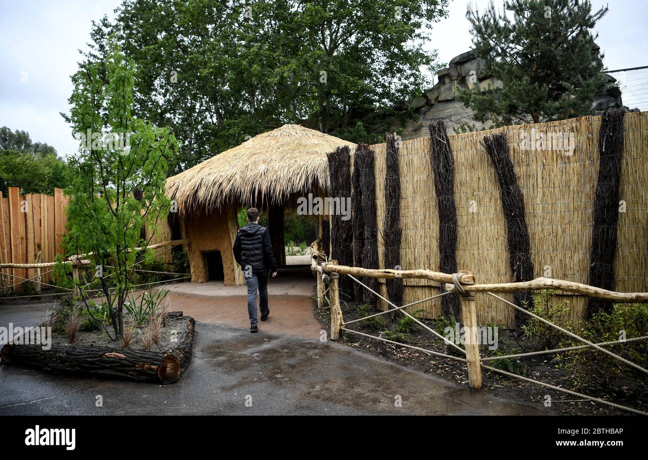Berlin, Germany. 25th May, 2020. Hut at the cheetah's enclosure in the ...