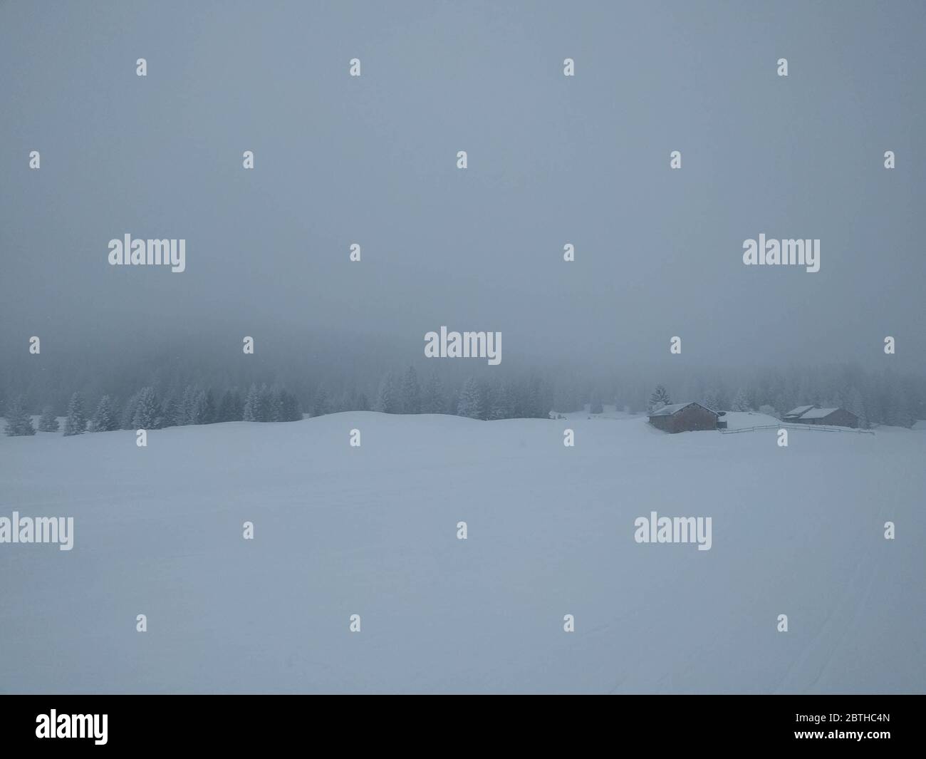 The view of winter landscape with wooden houses and trees in blizzard ...