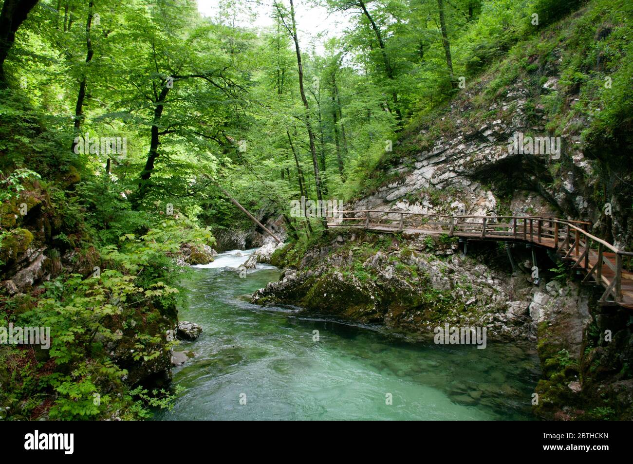 scenery around the Vosges, a mountain range in Alsace, France Stock ...