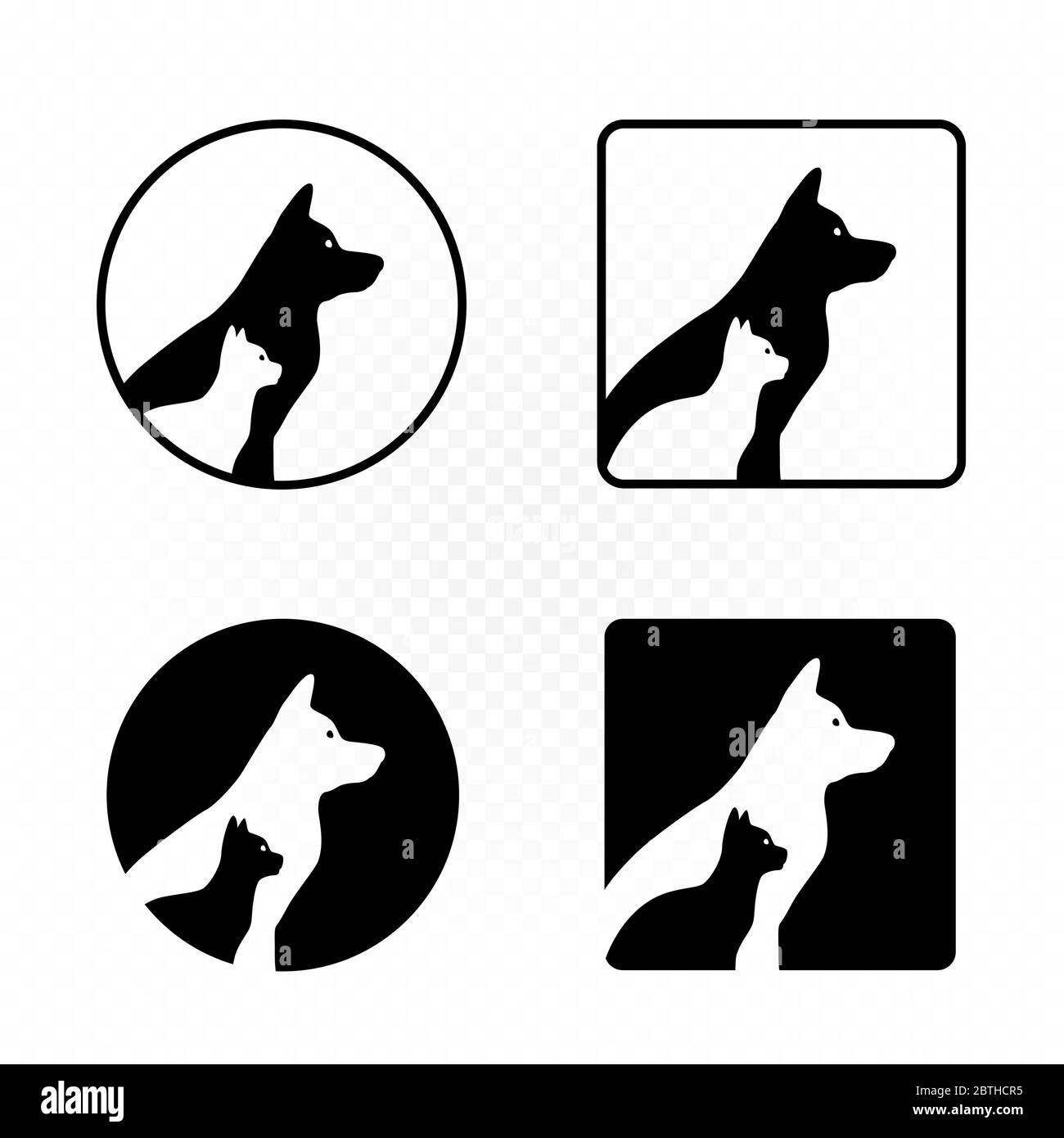 Dogs cats white background Black and White Stock Photos & Images - Alamy