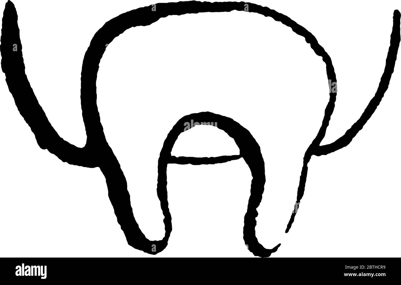 Cadelle is native to American insect which lives a long life, vintage ...