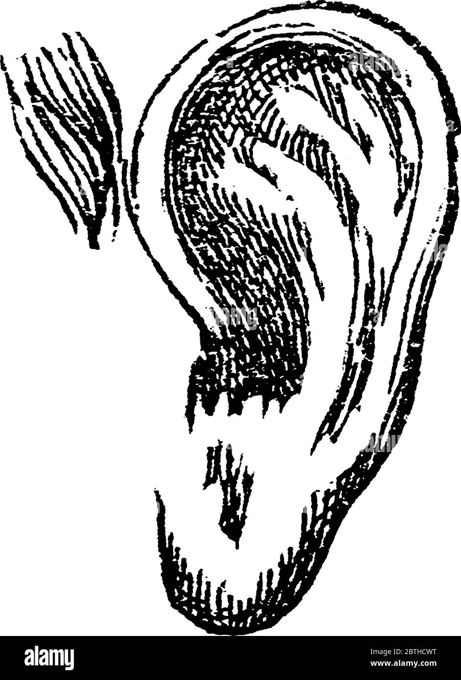 Made to move Black and White Stock Photos & Images - Alamy