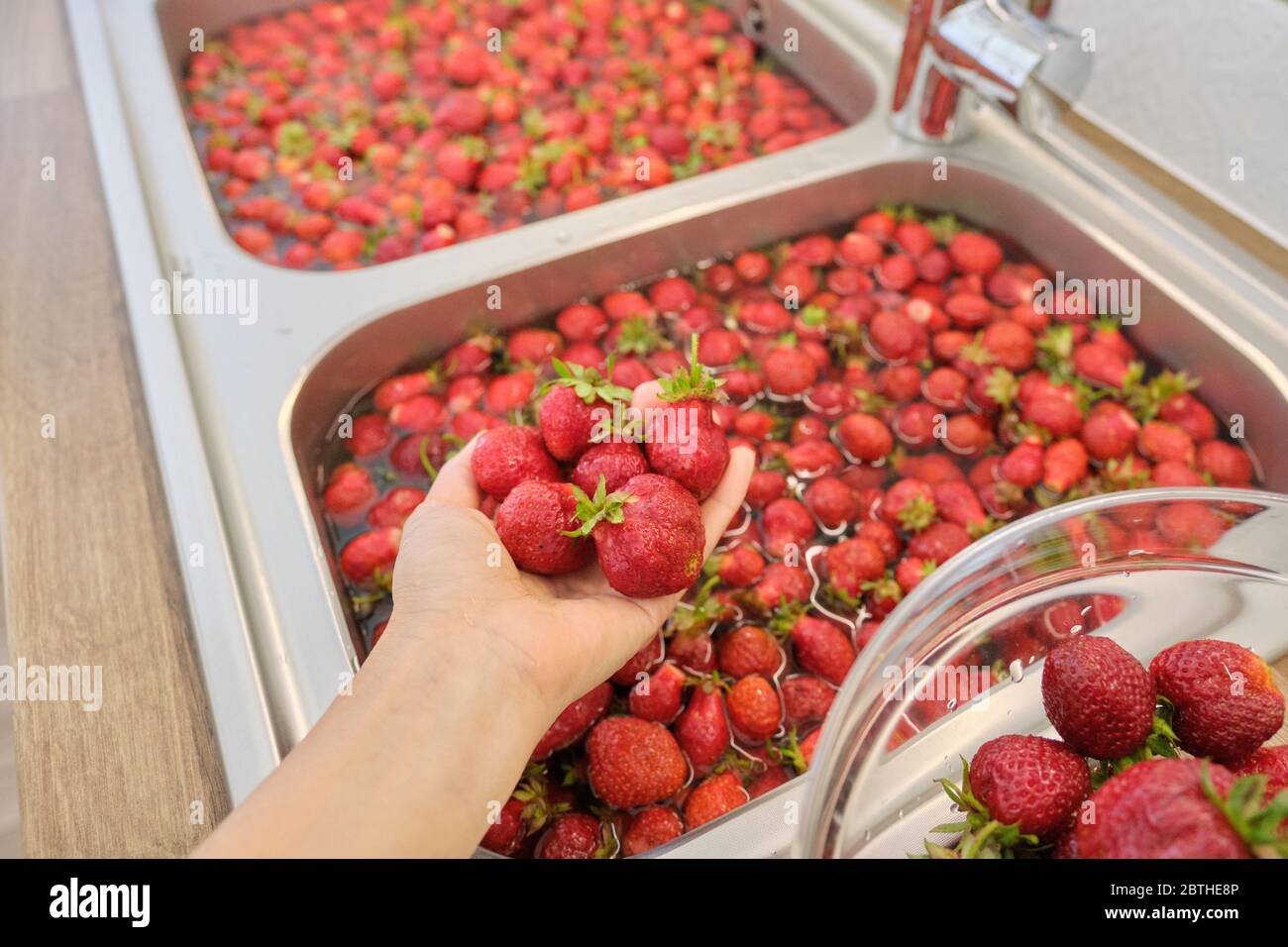 Strawberry season, washing berries in water in wash basin at home ...