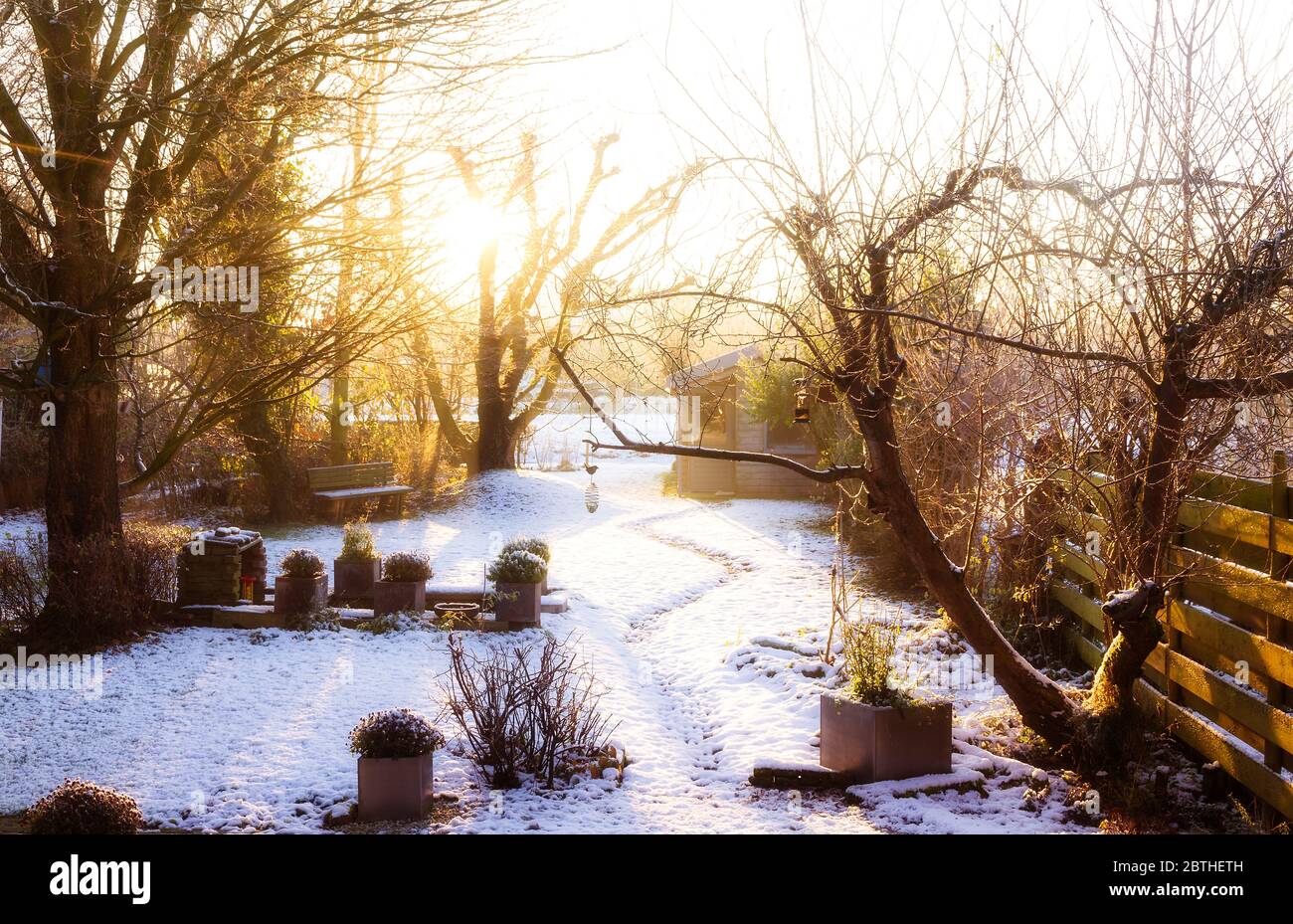 Winter trees road netherlands netherlands hi-res stock photography and ...