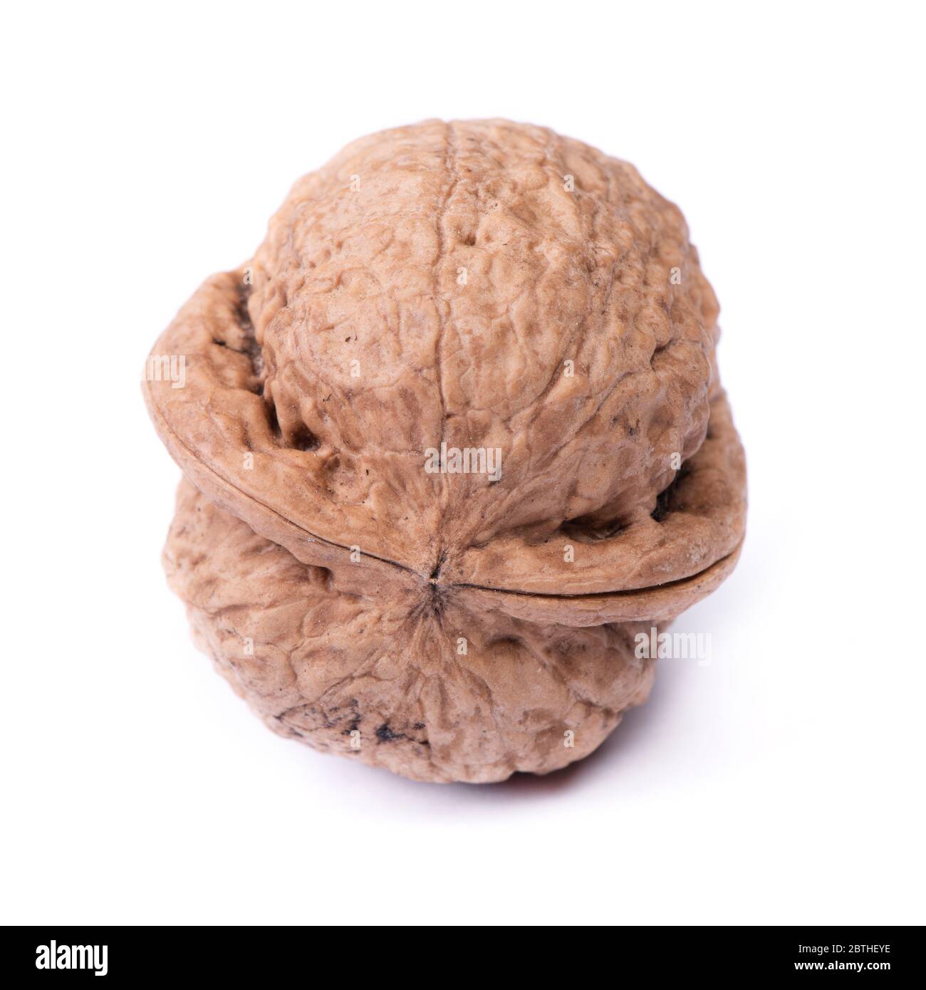 One big walnut isolated on white background Stock Photo - Alamy