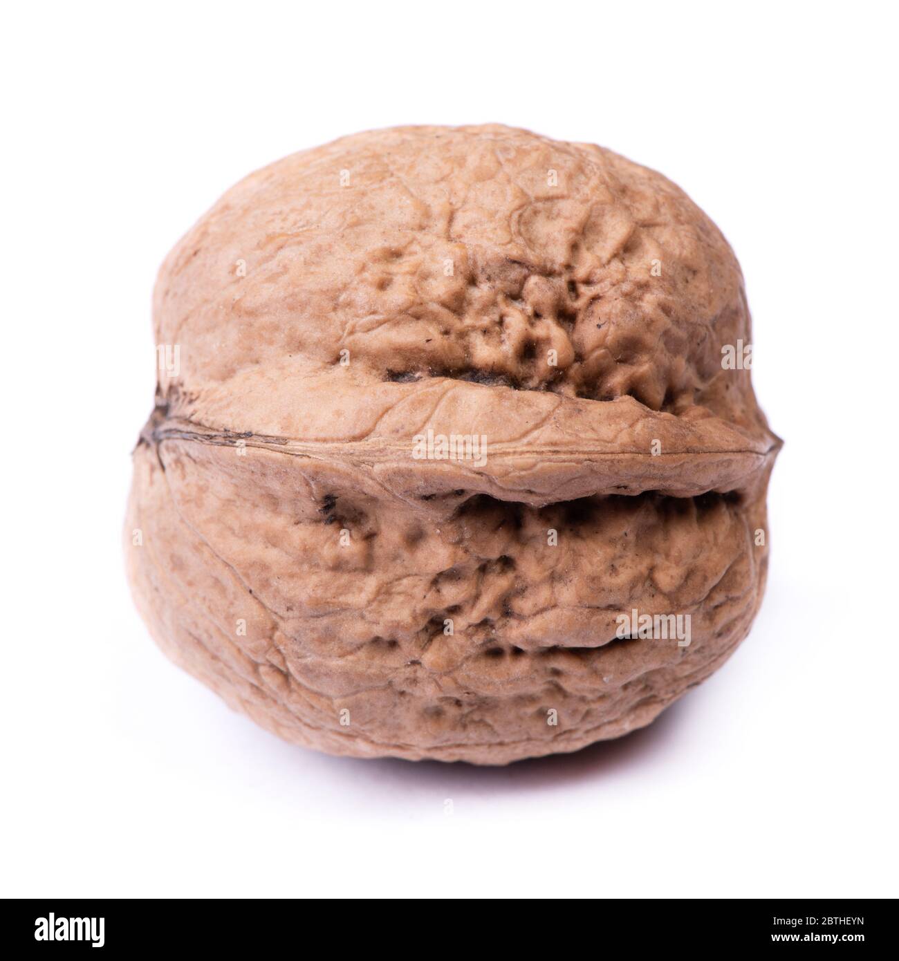 One big walnut isolated on white background Stock Photo - Alamy