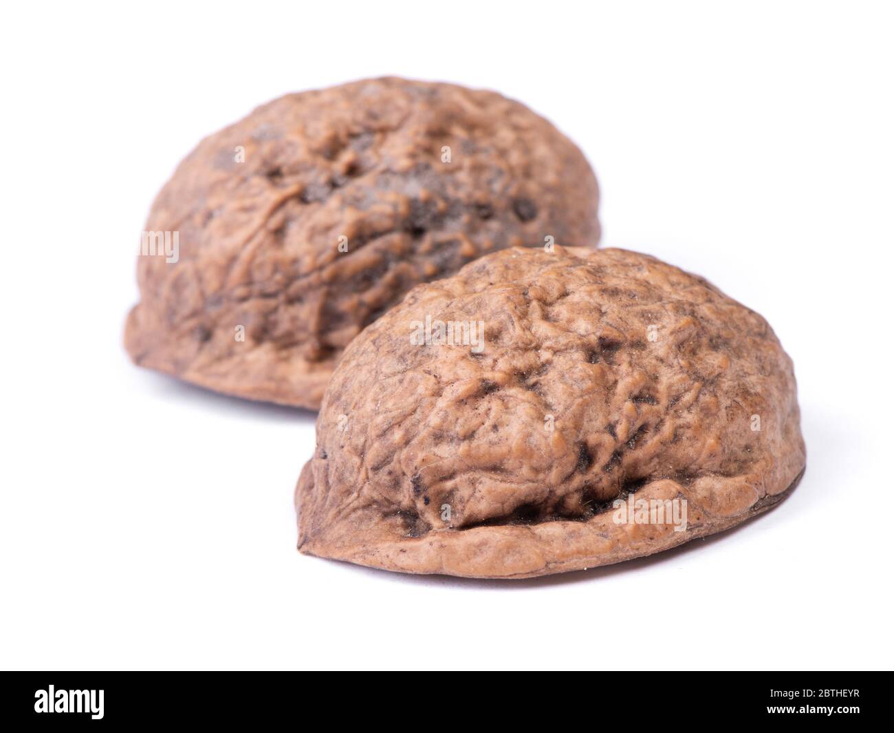 Empty shell of walnut isolated over white background Stock Photo - Alamy