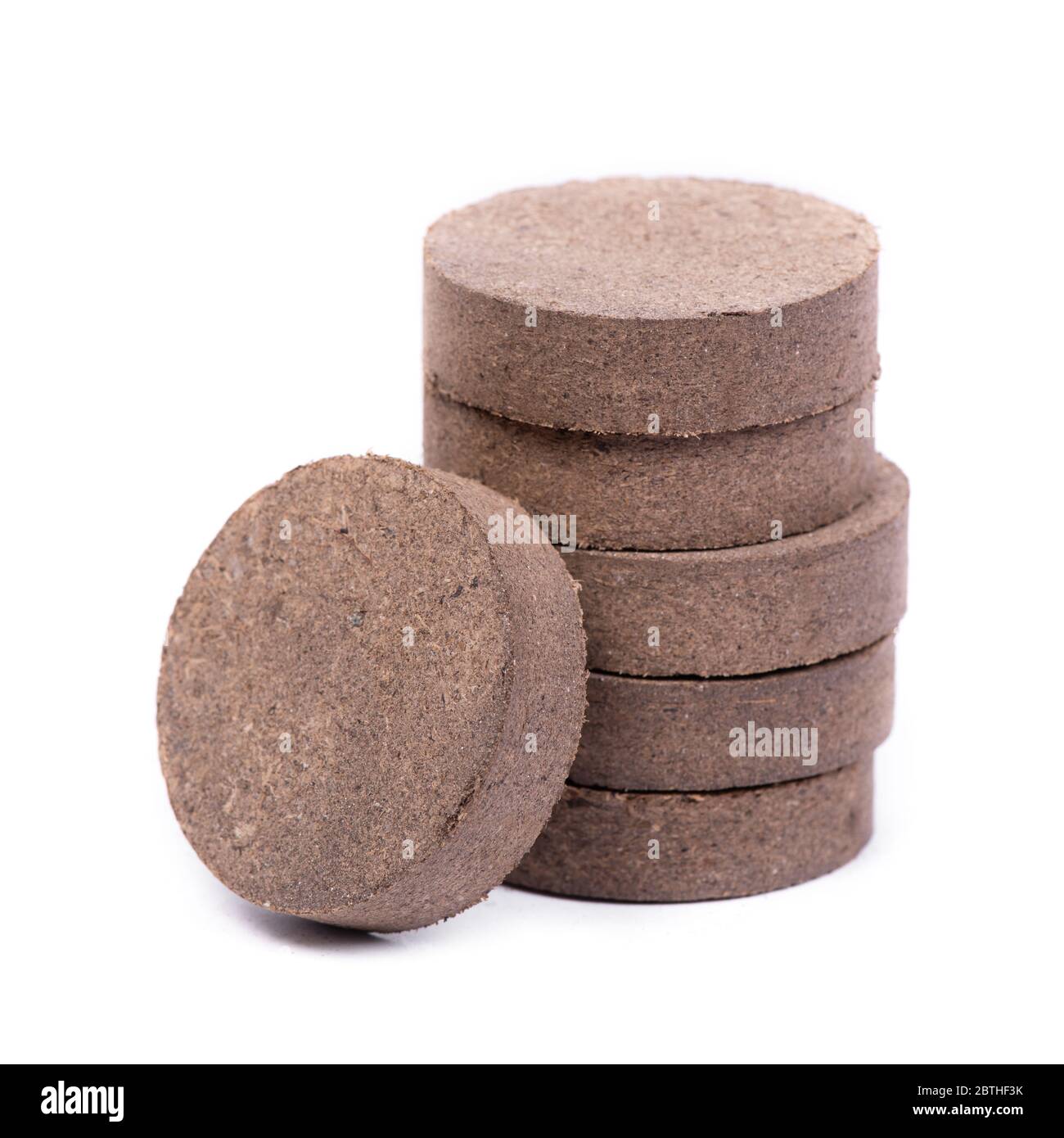 Dry peat pellets, compressed compost tablet isolated over the white ...