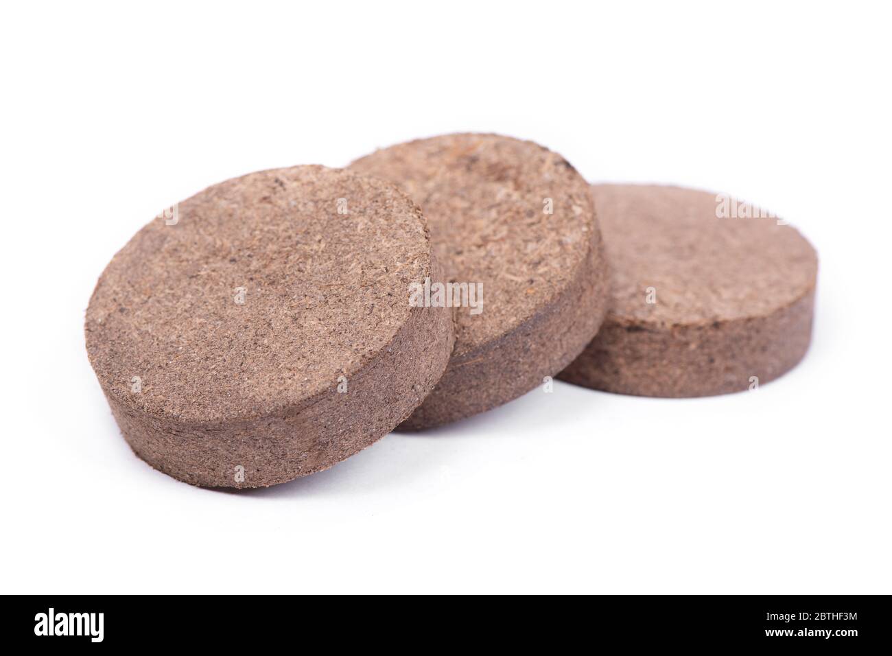 Dry peat pellets, compressed compost tablet isolated over the white ...