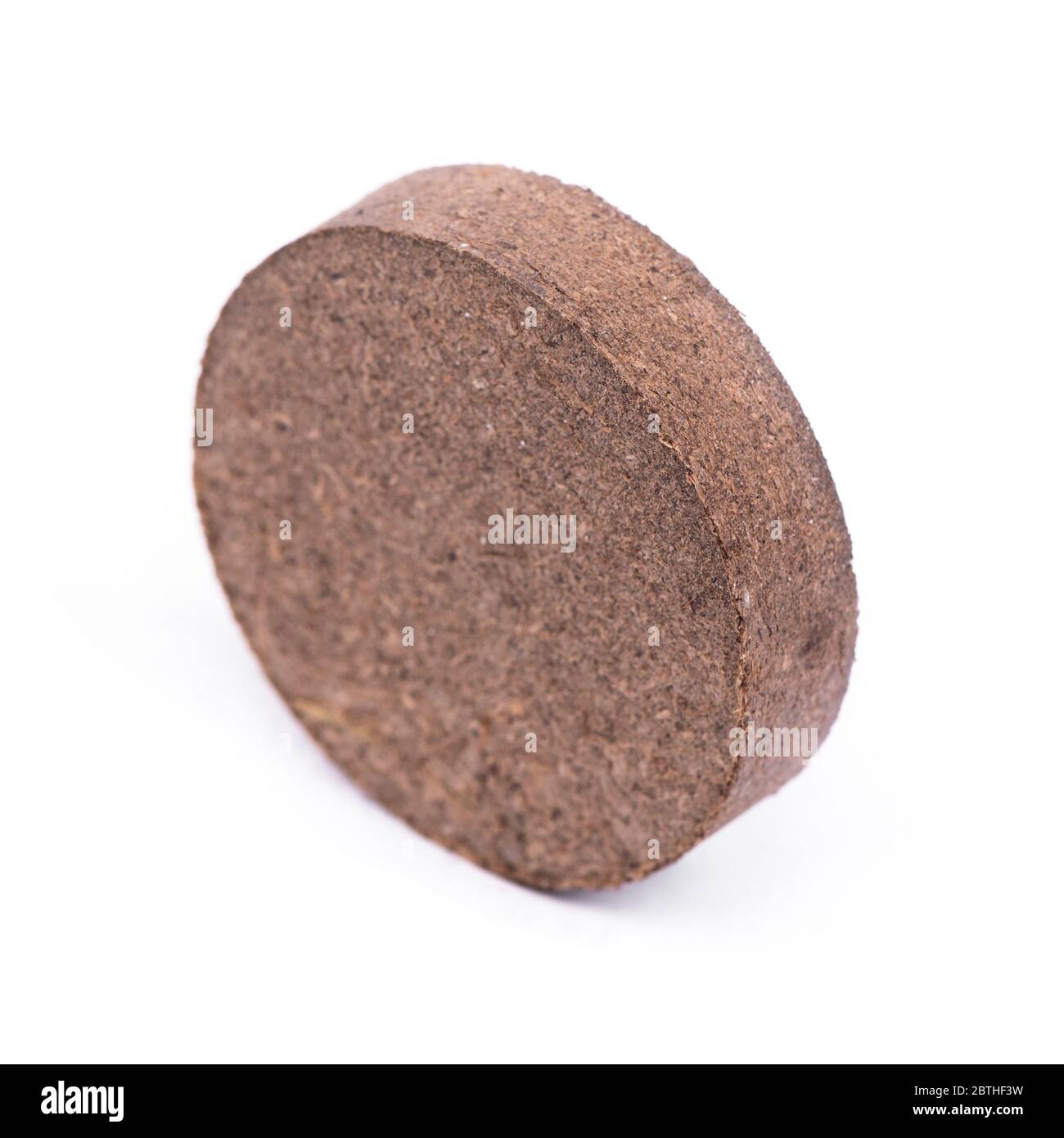 Dry peat pellets, compressed compost tablet isolated over the white ...