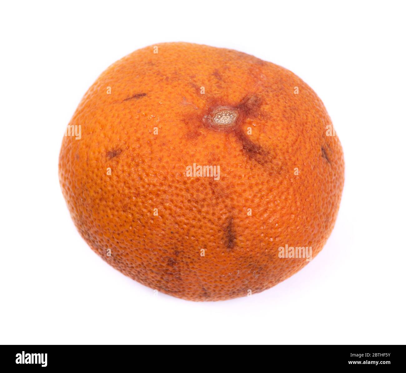 Almost rotten orange isolated on white background Stock Photo - Alamy