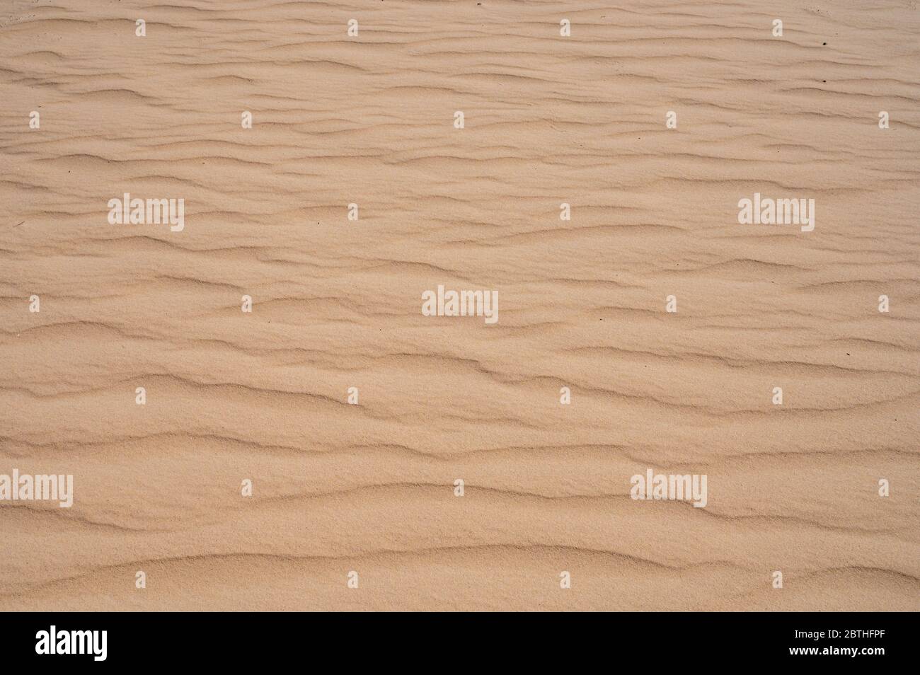 Background with beige sand and sandy waves texture Stock Photo - Alamy