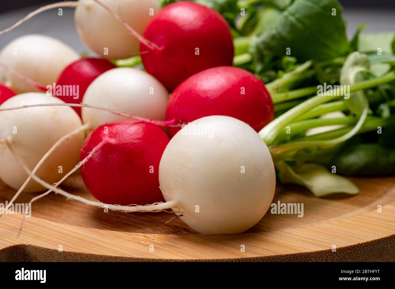 Fresh washed white and red radish vegetables ready to eat close up ...