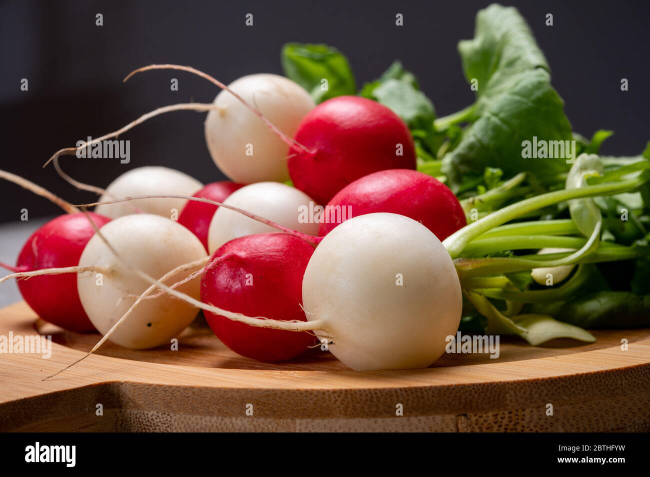 Fresh washed white and red radish vegetables ready to eat close up ...