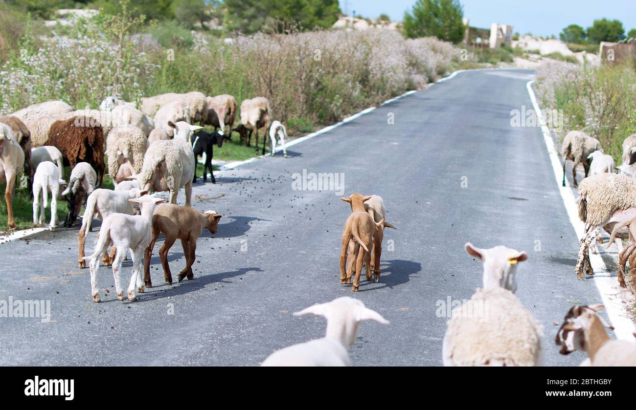 South mountain oil field hi-res stock photography and images - Alamy