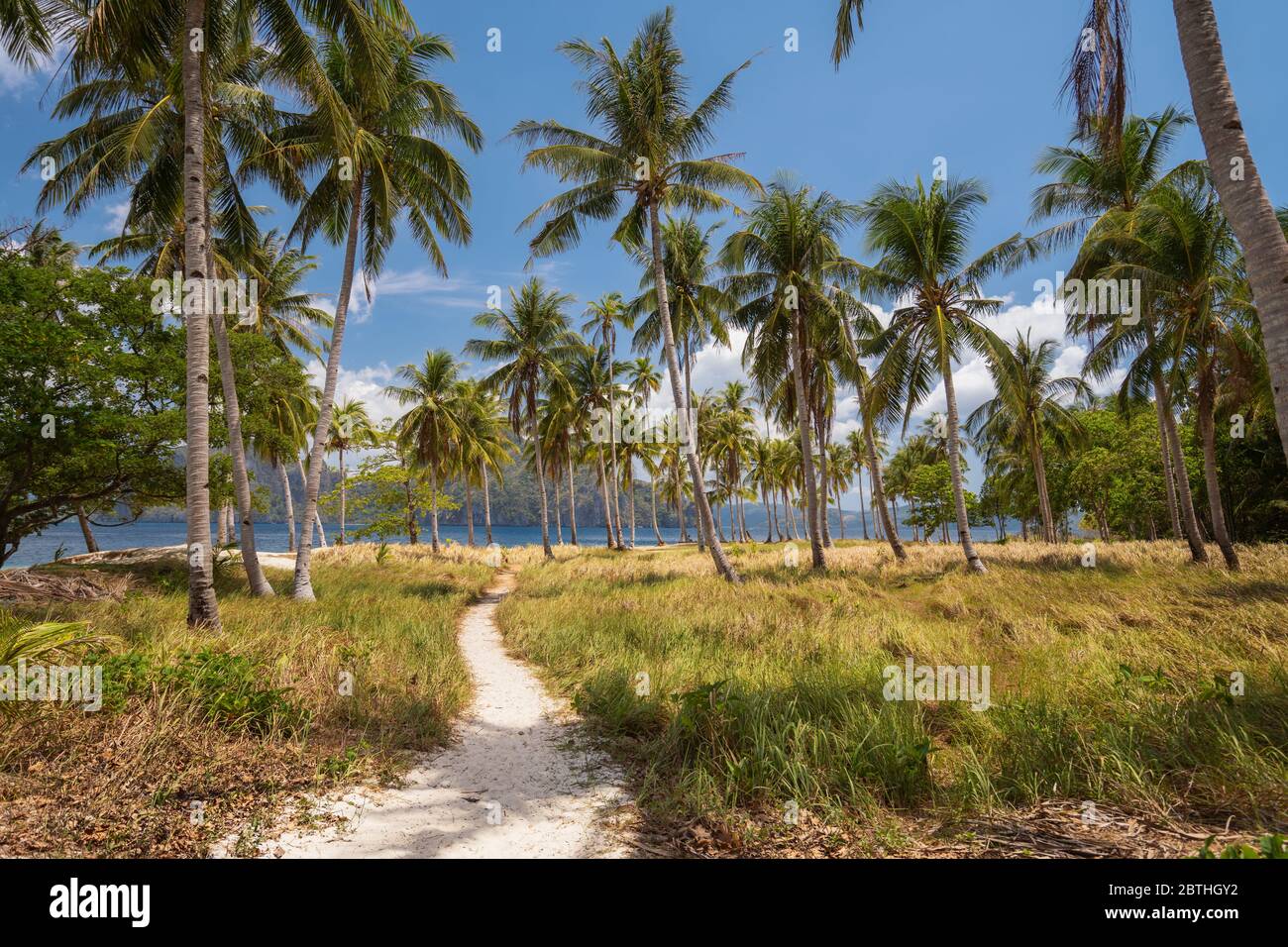 El Nido Ipil Beach Paradise. Pinagbuyutan Island. Palawan, Philippines ...