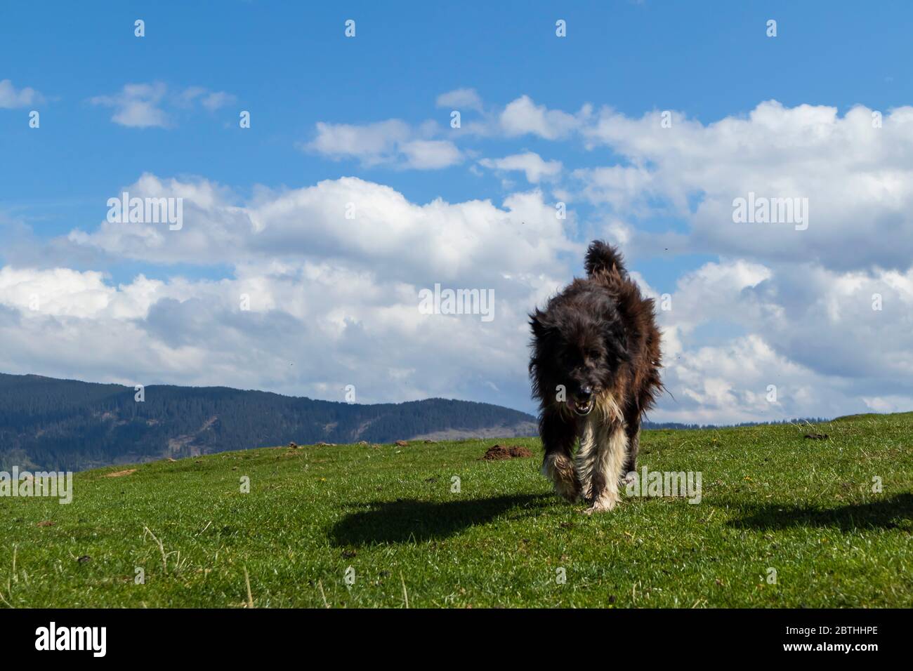 The Country of the Shepherds. Panoramic view over Cindrel Mountains ...