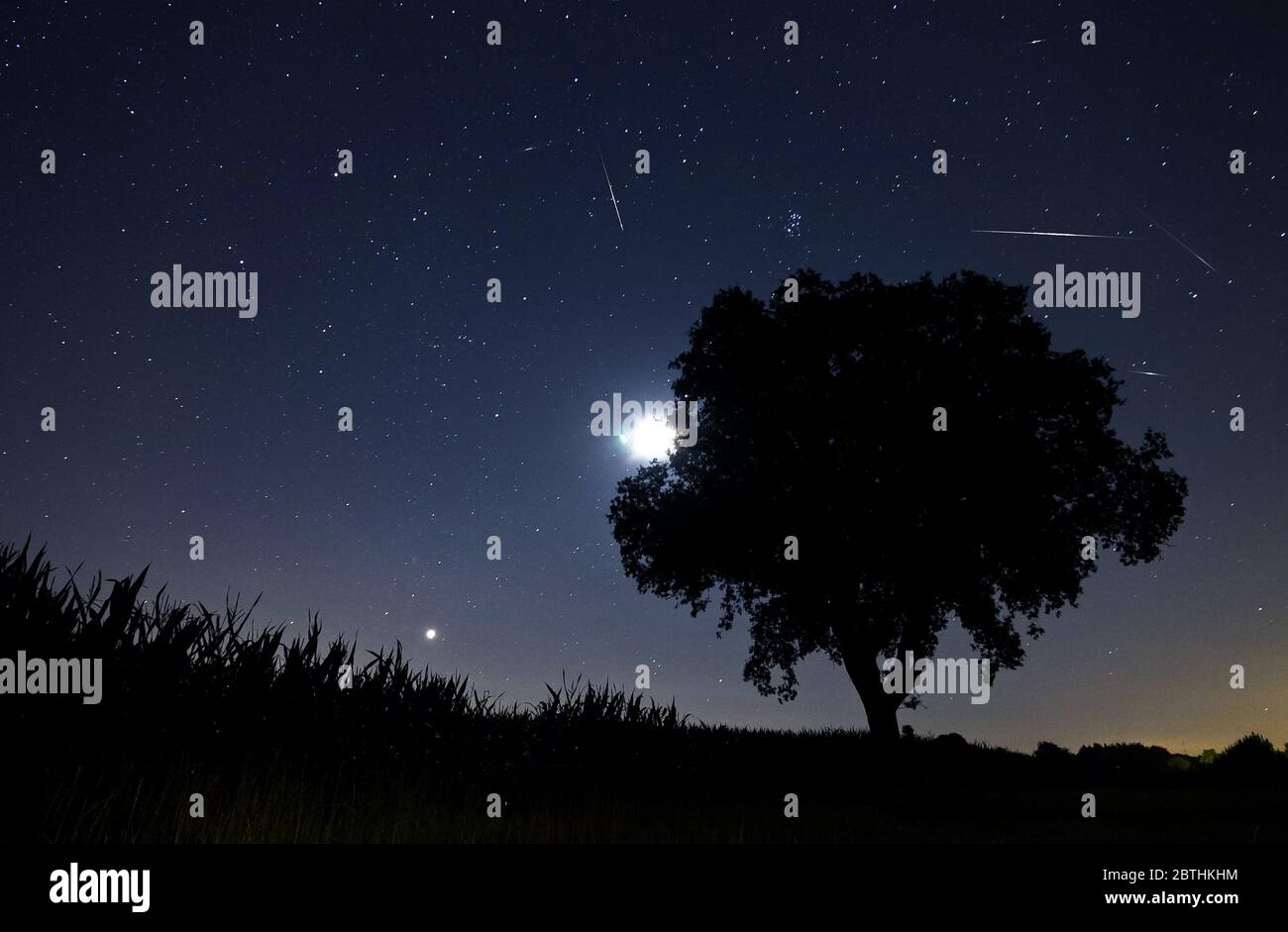 Perseids stars hi-res stock photography and images - Alamy