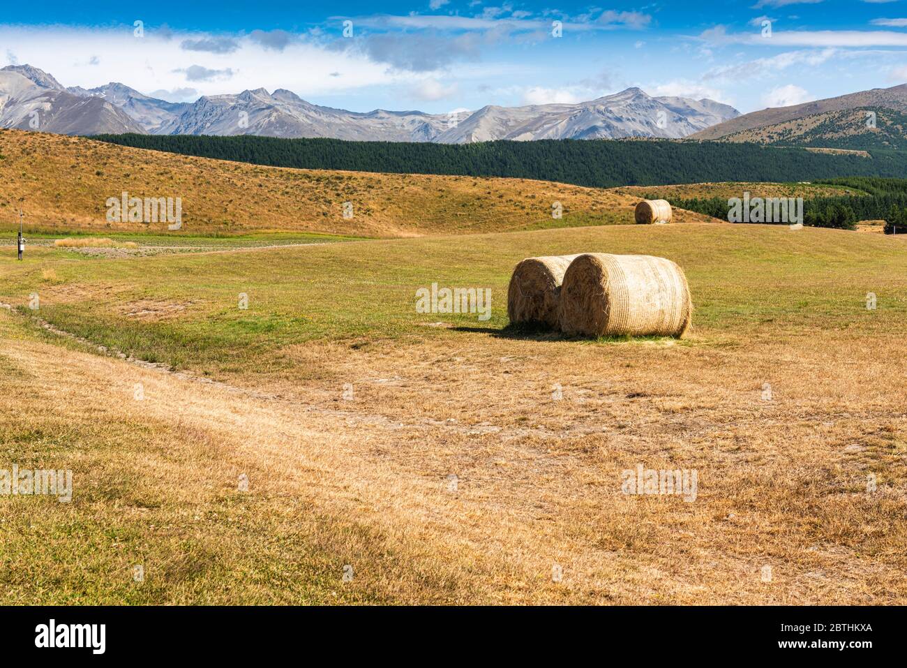 Hay field in new zealand hi-res stock photography and images - Alamy