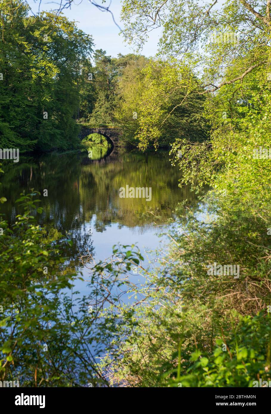 The Lake on the Ingleborough Estate Nature Trail near Clapham ...
