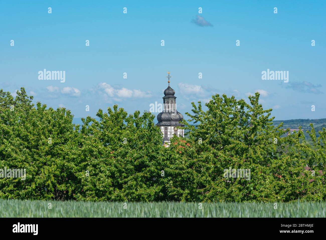 Half-timbered tower of the St Martin church behind fruit trees ...