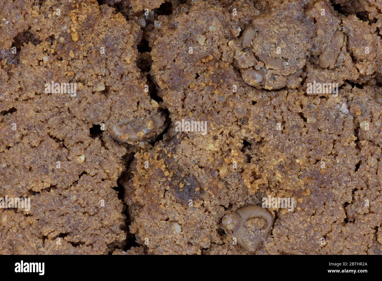 Cookie texture hi-res stock photography and images - Alamy