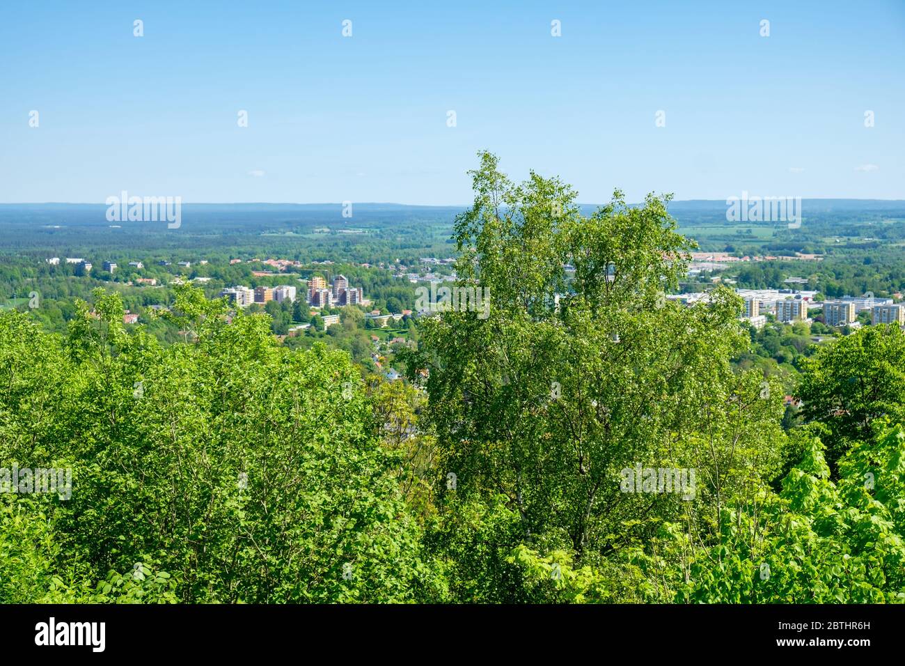 Tree tops and an aerial view over a town Stock Photo - Alamy