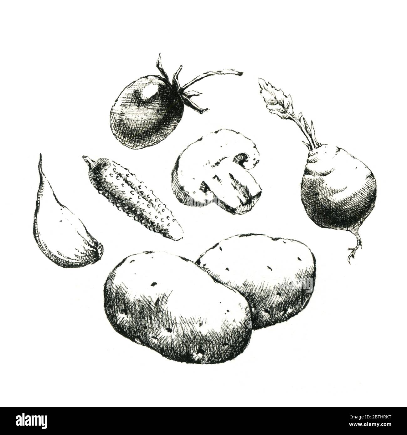 Hand-drawn black and white image of vegetables. JPEG only Stock Photo ...