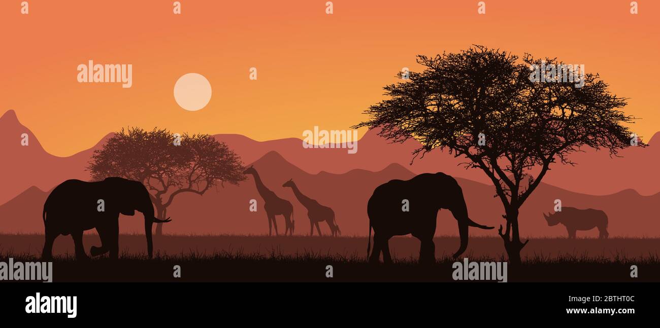 African Landscape Sunset With Animals