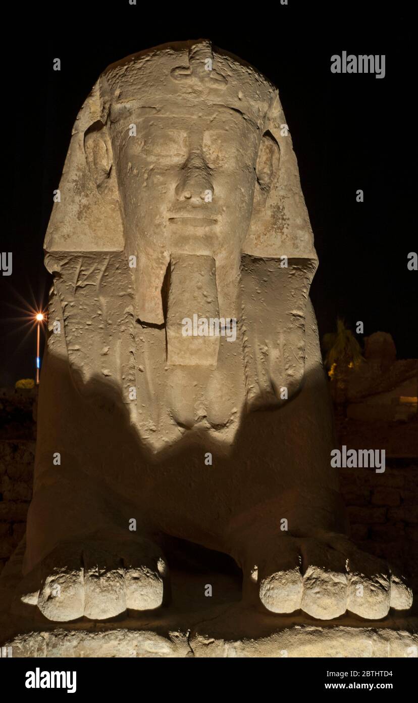 Ancient egyptian stone sphinx lit up in night at temple of Luxor Stock ...