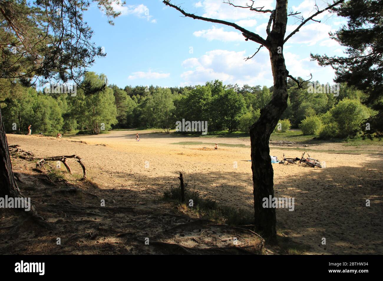 Horsell Common High Resolution Stock Photography and Images - Alamy