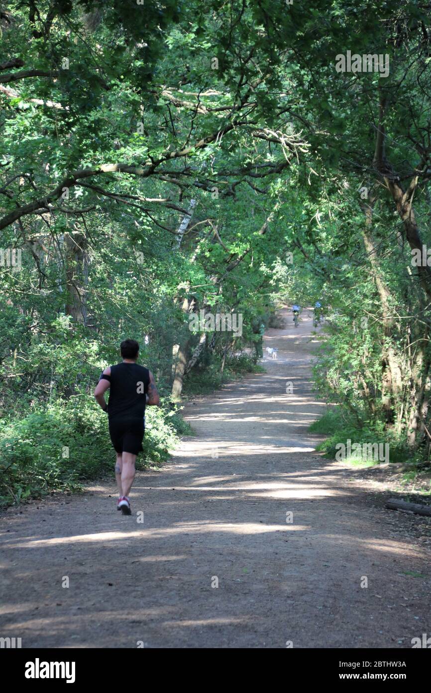 rear view of one male running along a track under a canopy of trees ...