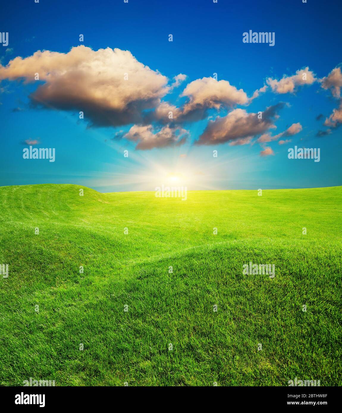 Green grass field on small hills, at sunset Stock Photo - Alamy