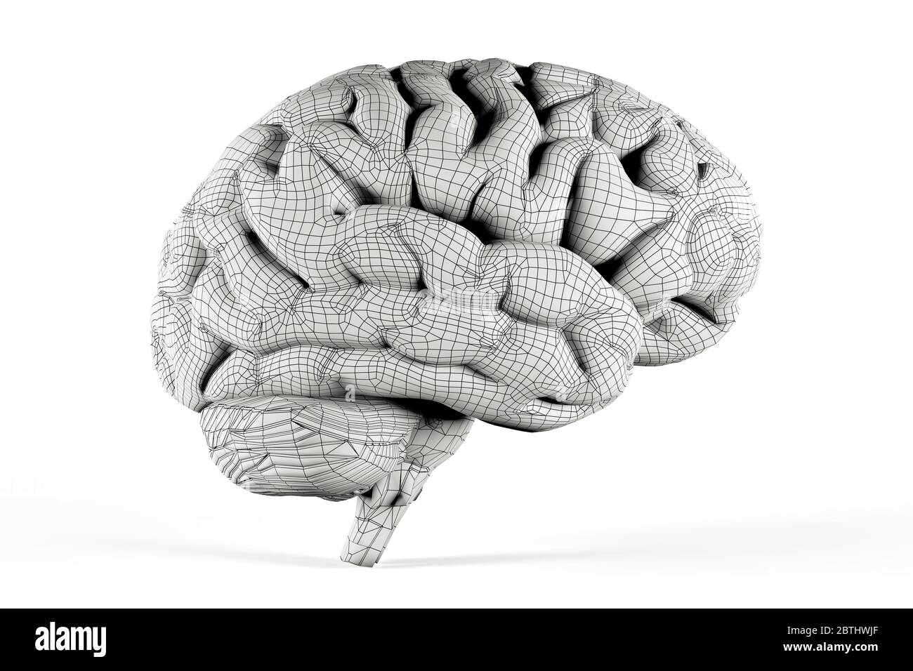 3d illustration of human brain coated with black mesh over light ...